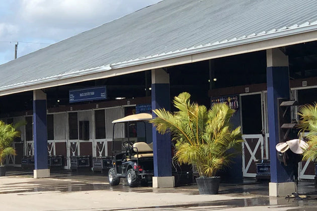 Perfecting Your Show Stable Setup - Ride Every Stride Inc.