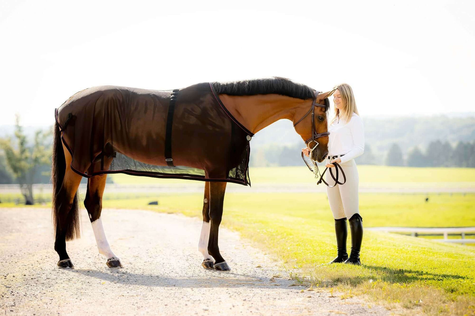 Custom Equestrian Products – Ride Every Stride Inc.