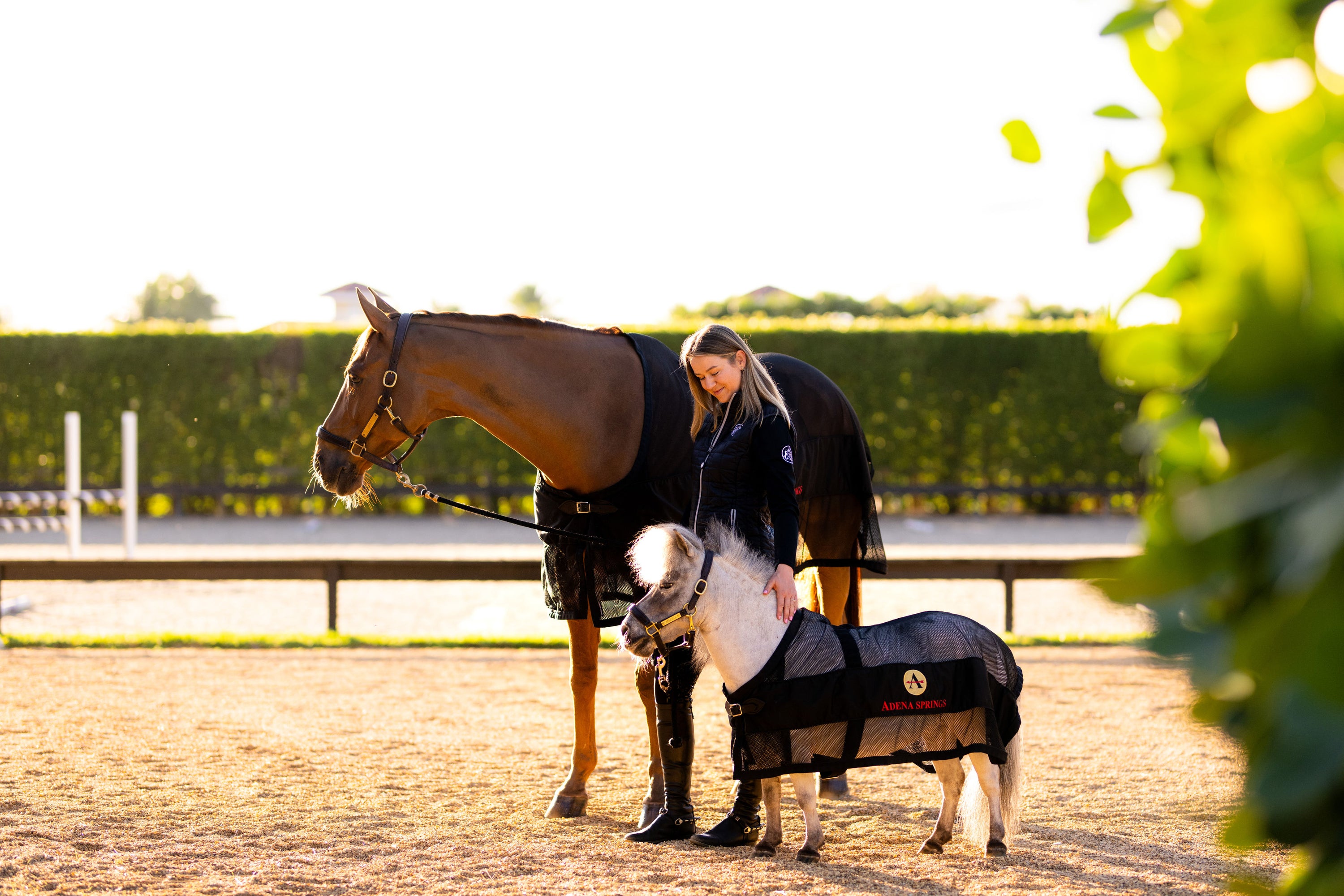 Custom Equestrian Products – Ride Every Stride Inc.