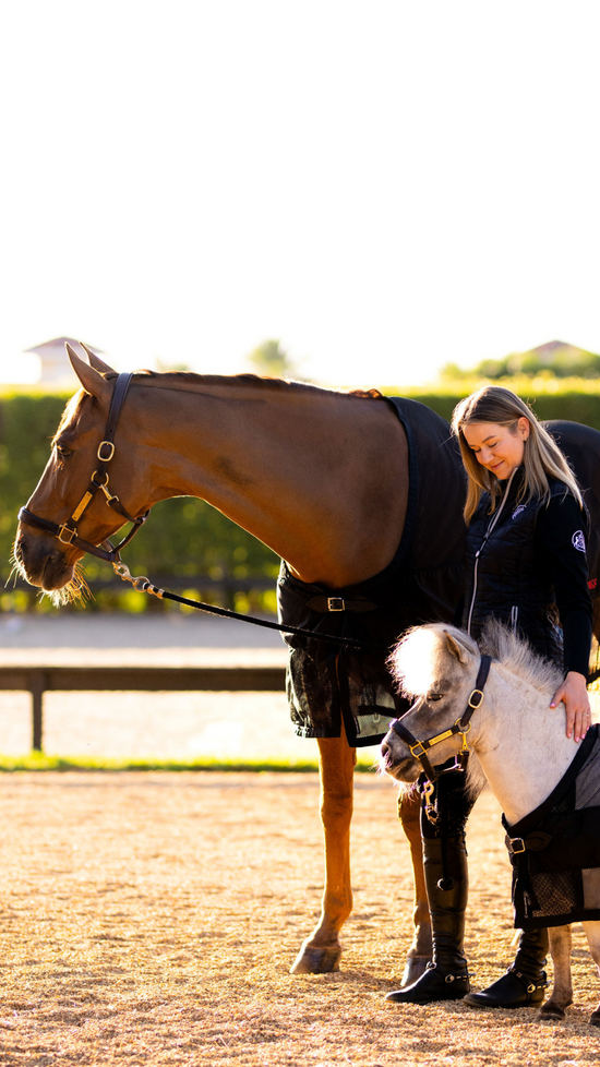 Custom Equestrian Products – Ride Every Stride Inc.