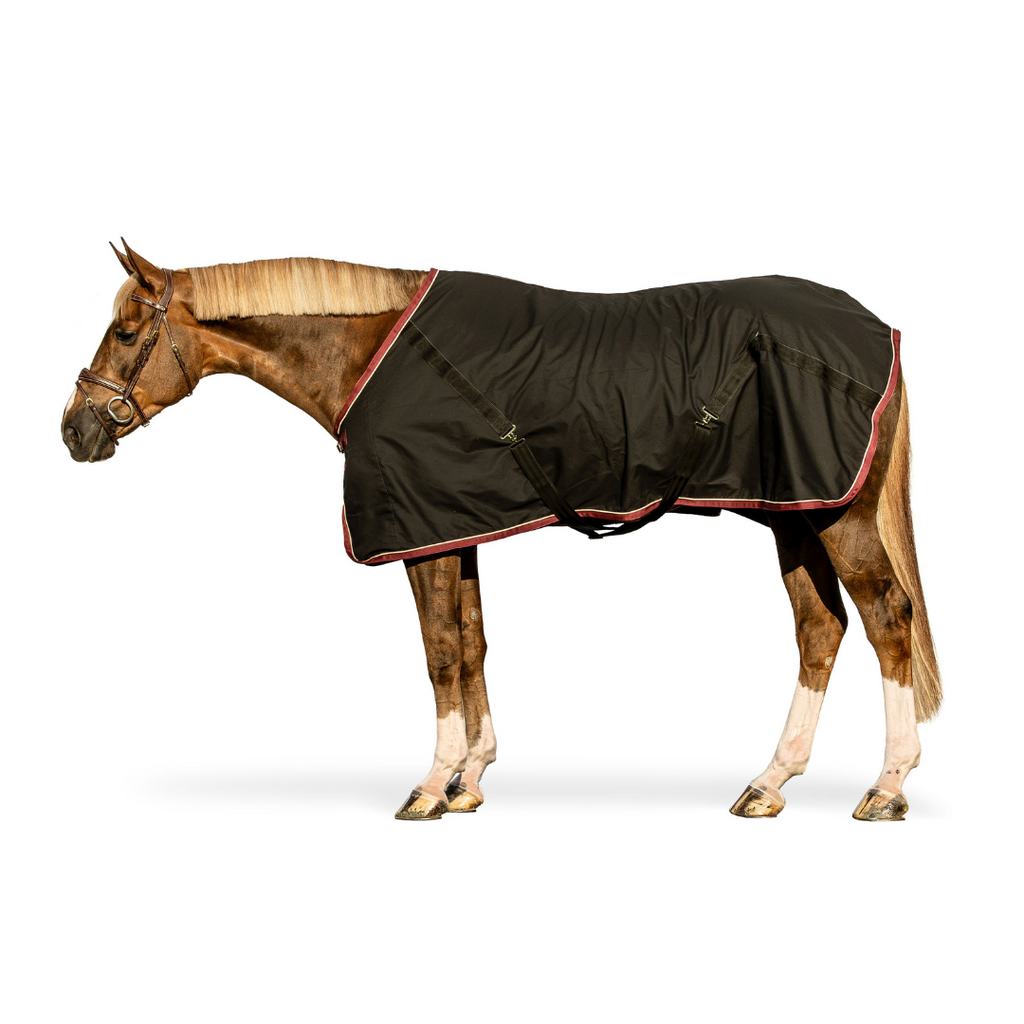 Buy Online RES Stable Sheet - Ride Every Stride Inc.