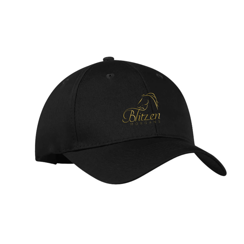 Buy Online BM Ball Cap - Ride Every Stride Inc.
